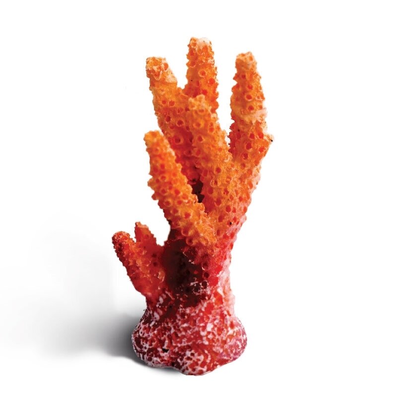 Laguna коралл искусственный "Синулярия мини", 30х36х67 мм