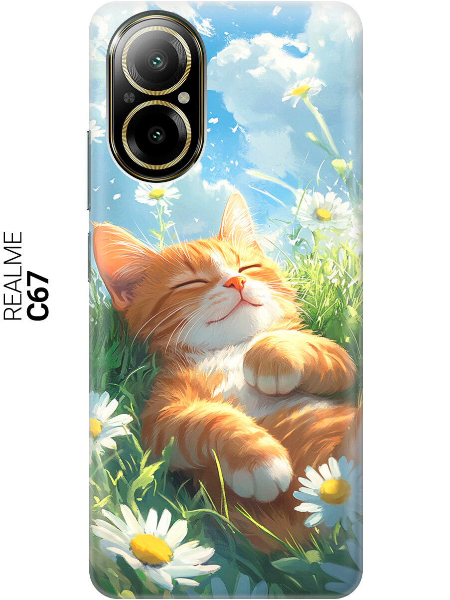 Силиконовый чехол на Realme C67 с принтом "Котик и поле ромашек"