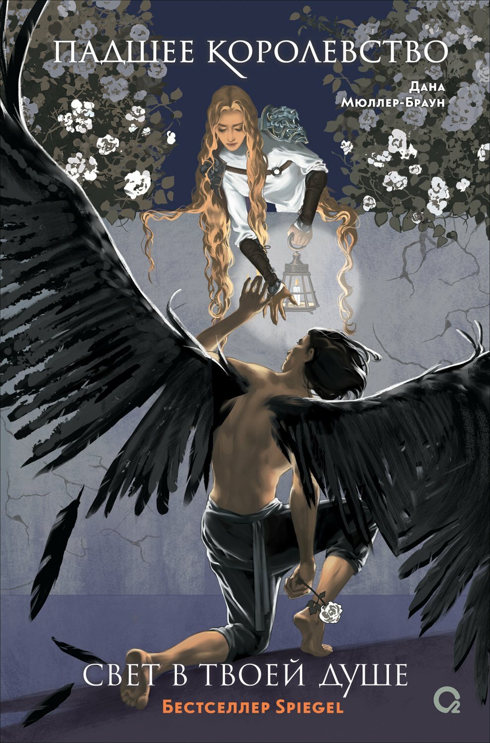Падшее королевство. 2. Свет в твоей душе