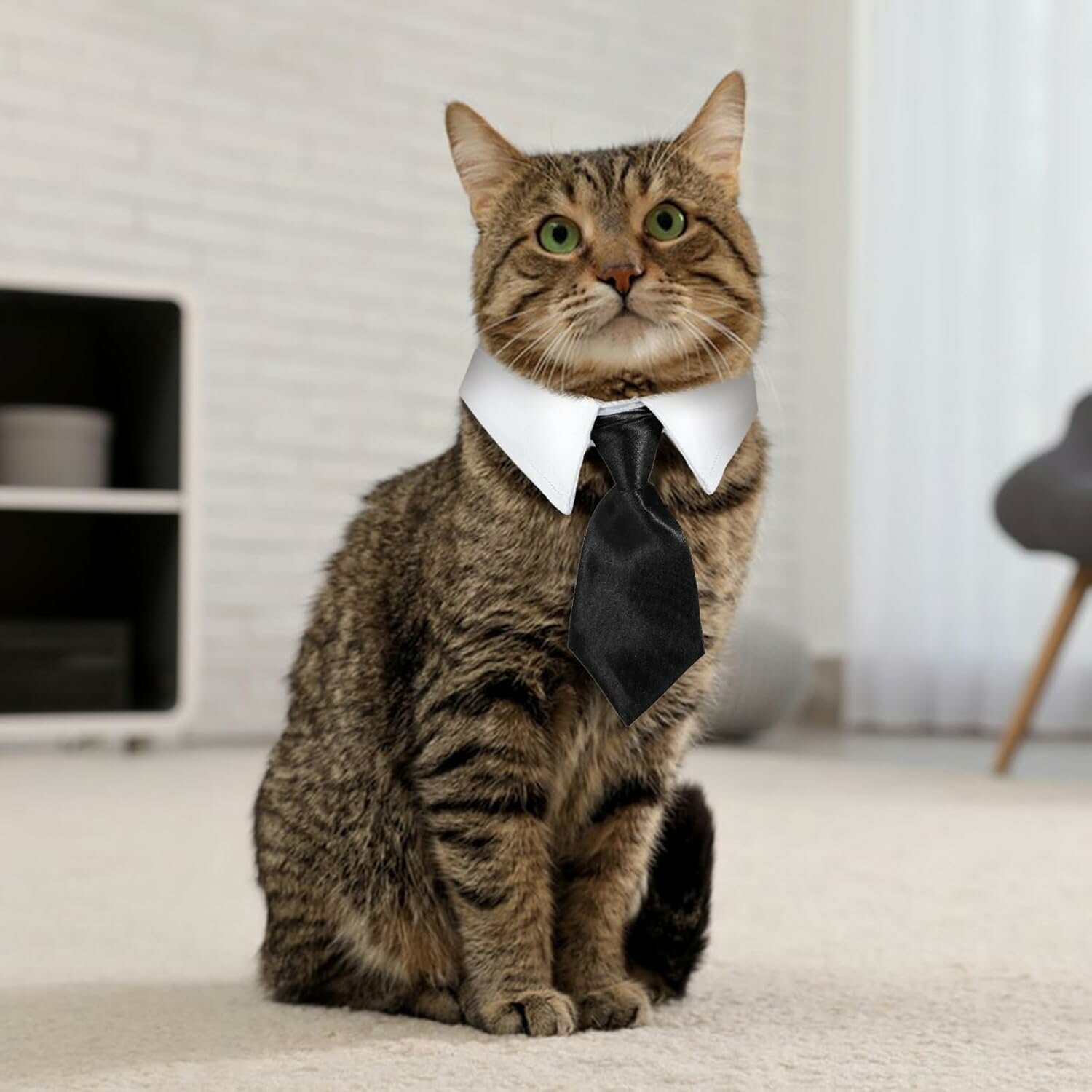 2 предмета домашней одежды для собак и кошек кошачий галстук очки