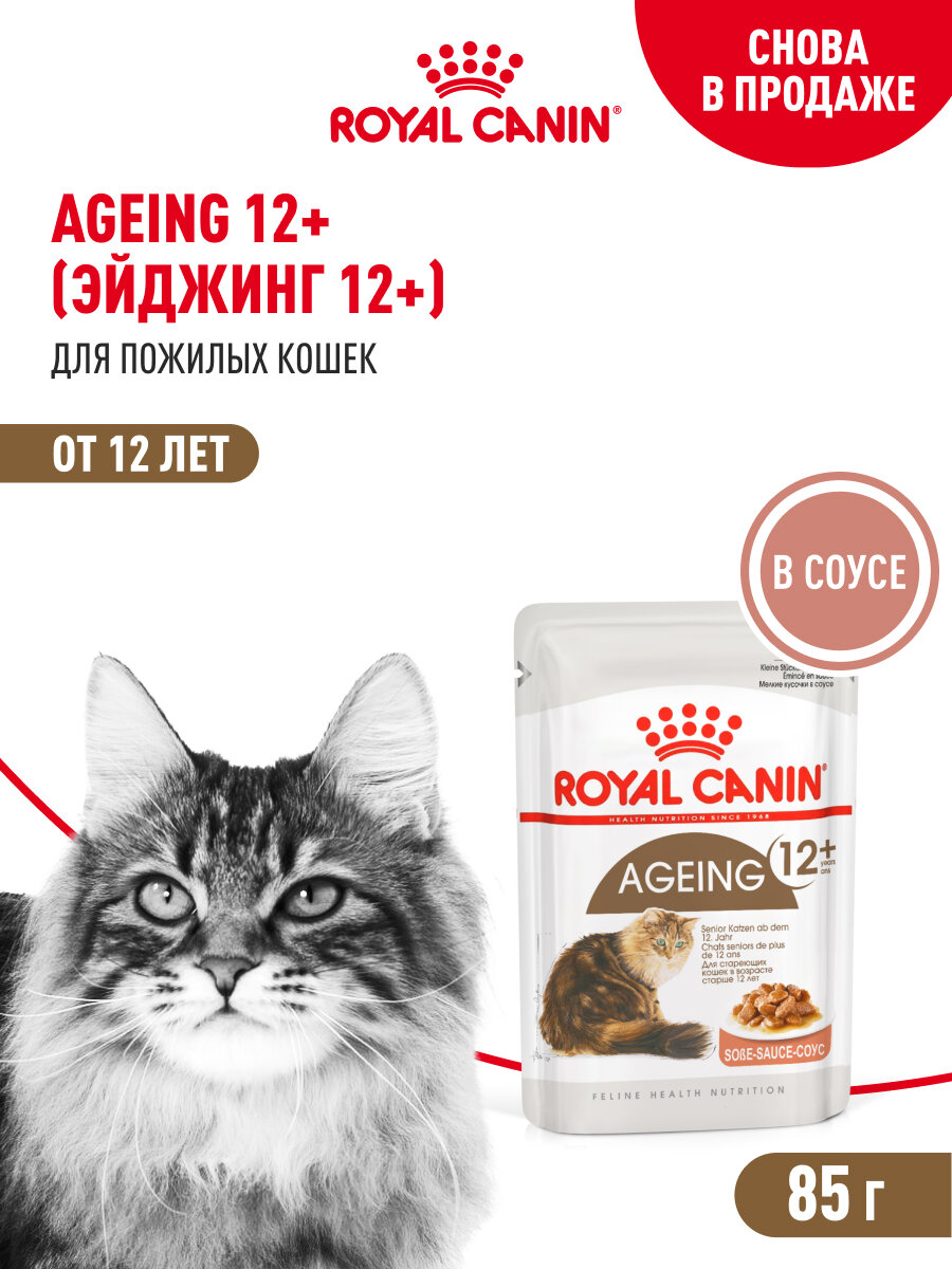 Влажный корм для кошек пожилых Royal Canin Ageing 12+ кусочки в соусе, 28 шт по 85 г