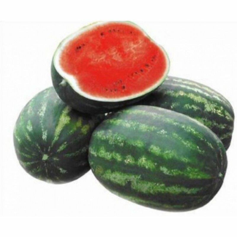 Арбуз Кримсон Руби F1 25шт з/п ран. SA