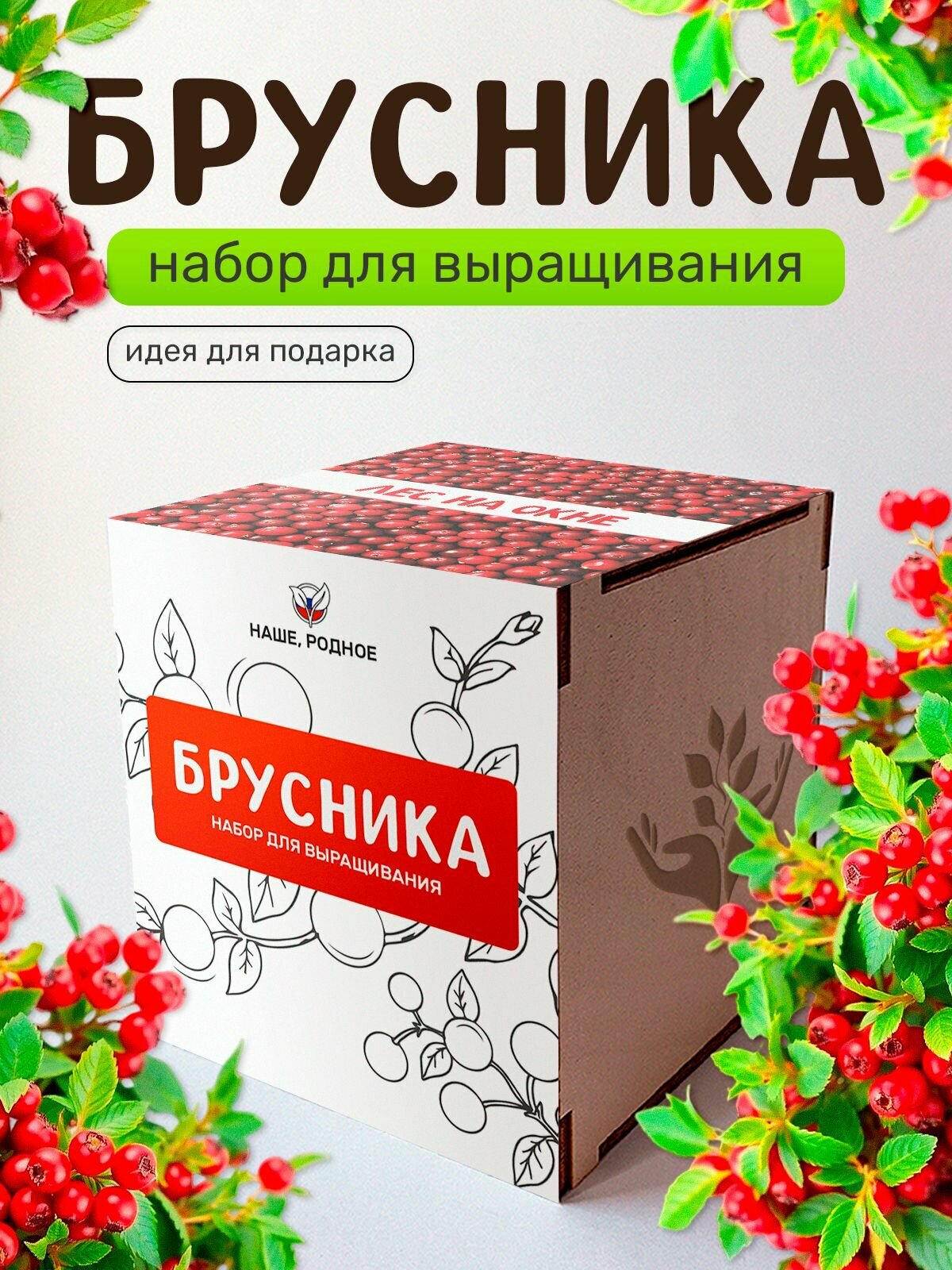 Набор для выращивания растений Сад на окне "Брусника", в деревянном горшочке