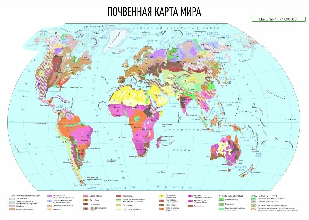 Почвенная карта мира 7 класс