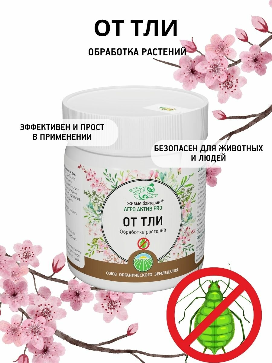 От тли. Обработка растений