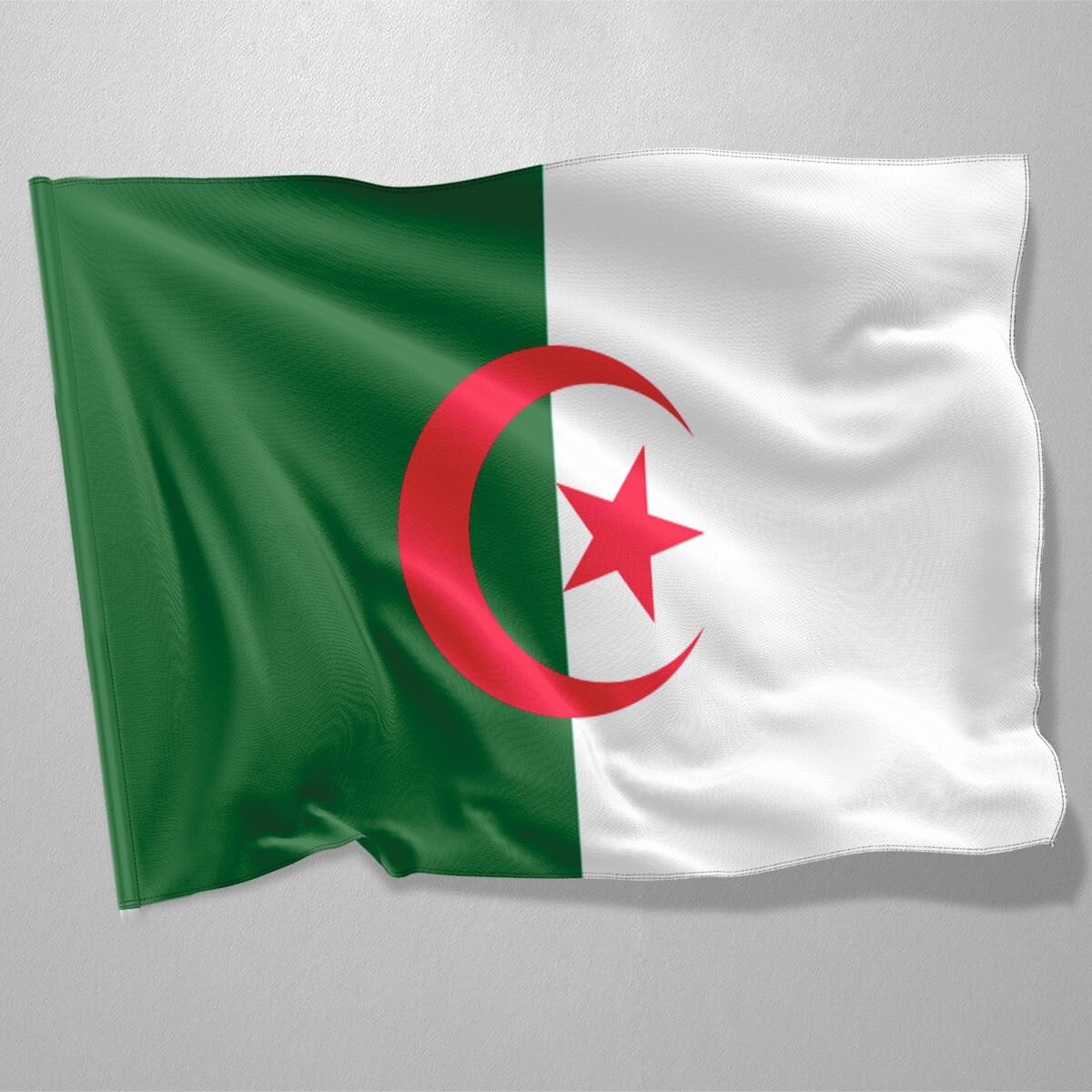 Флаг Алжира / 90x135 см.