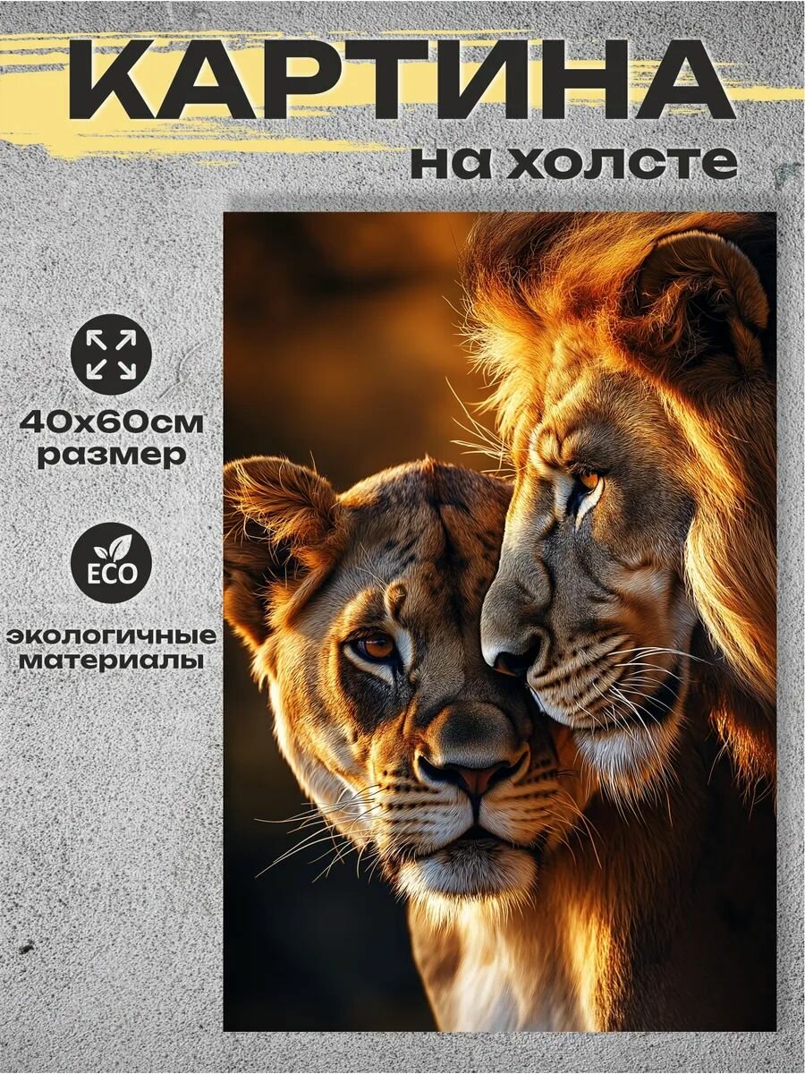 Картина на стену на холсте "Лев и львица" 60х40 см