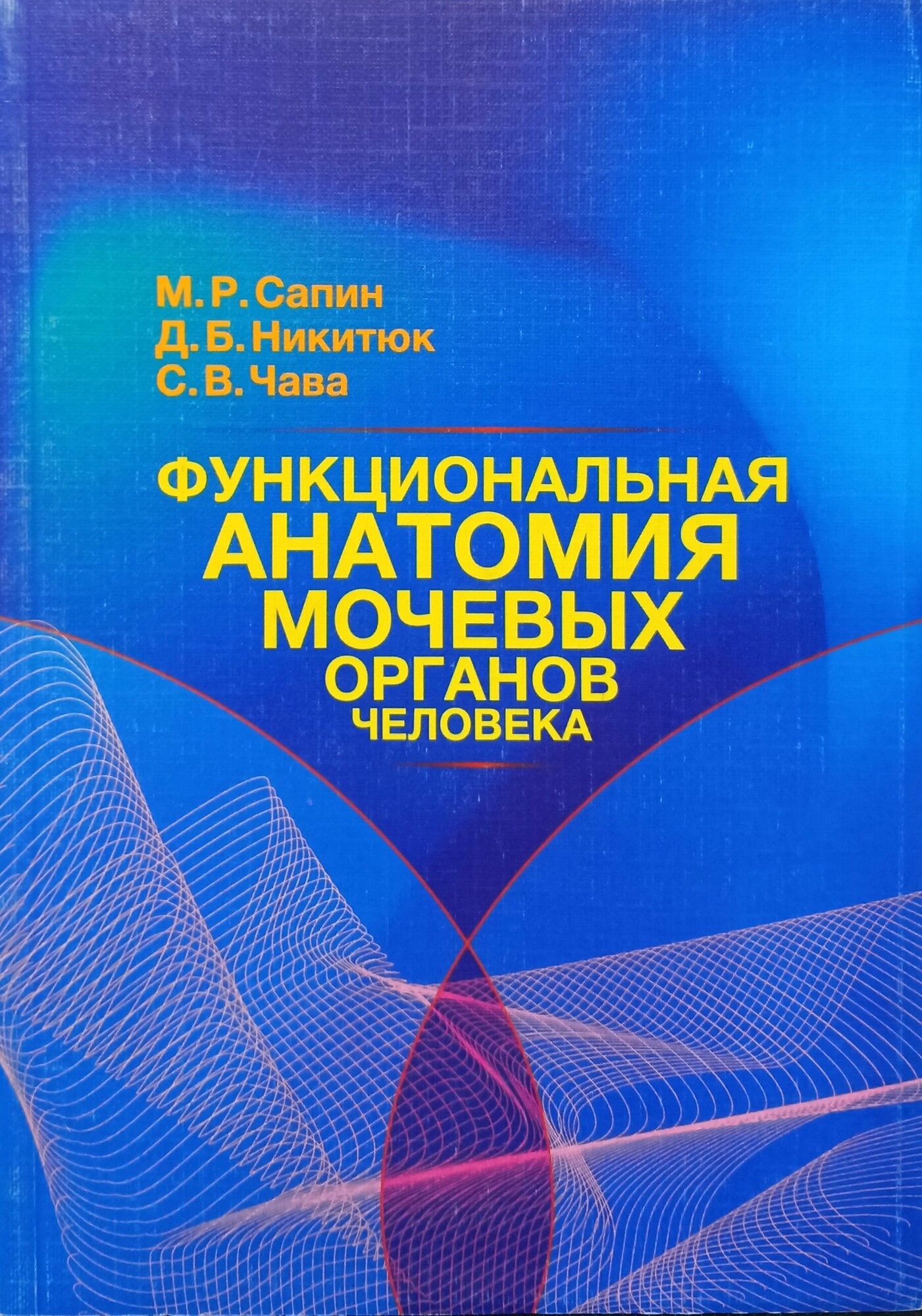 Функциональная анатомия мочевых органов человека