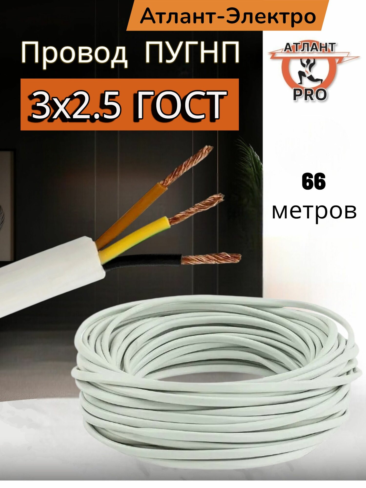 Провод ПУГНП 3х2.5 ГОСТ 66м