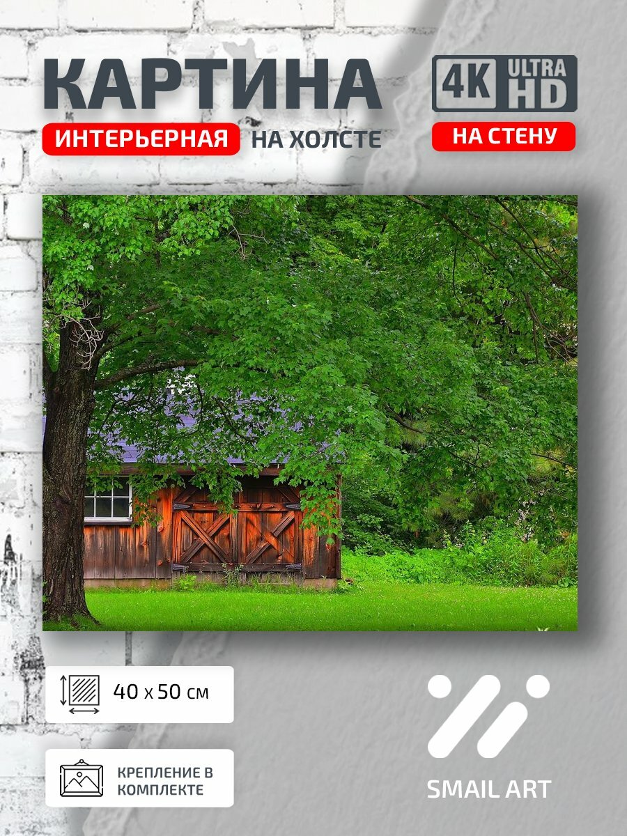 Картина на холсте интерьерная 40 на 50 на стену Лес forest для офиса пейзаж интерьер декор
