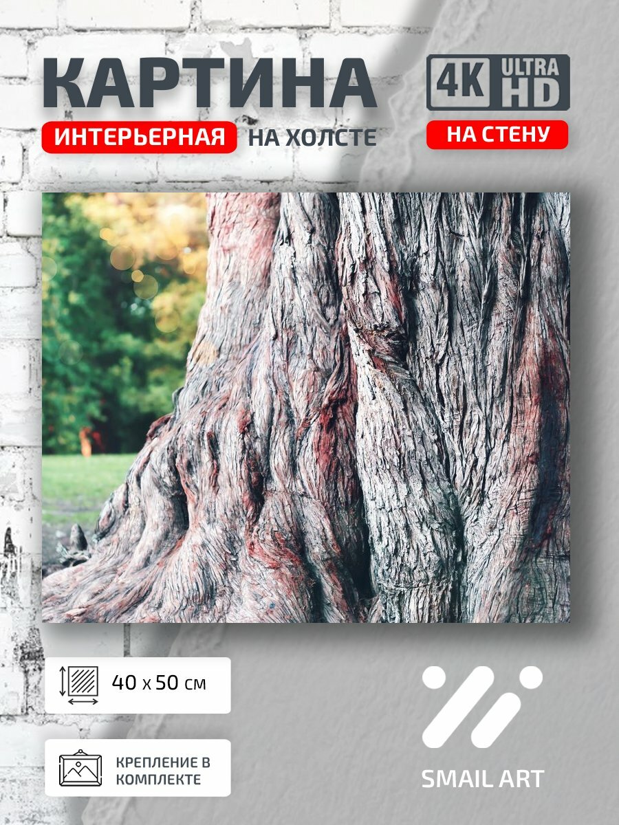 Картина на холсте интерьерная 40 на 50 на стену Дерева Landscape для кабинета пейзаж декор