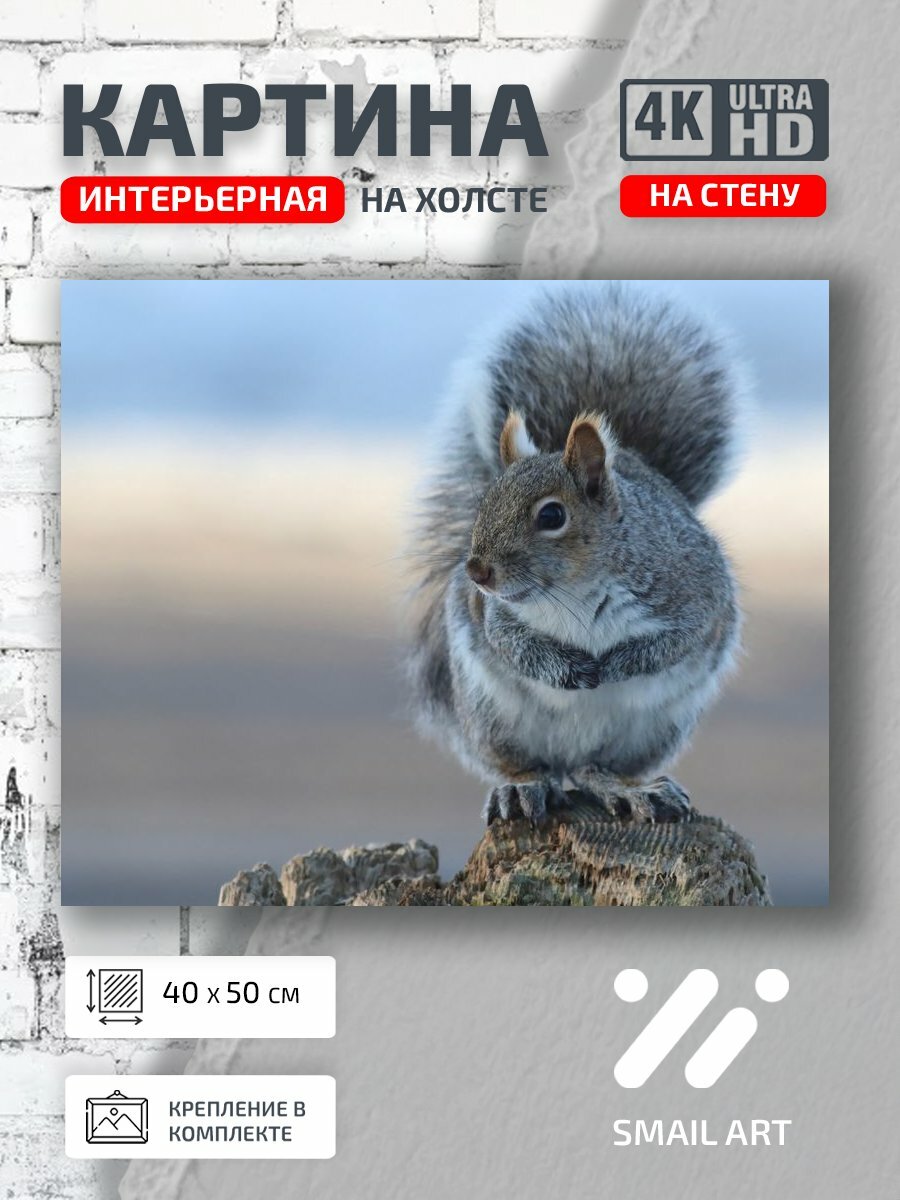 Картина на холсте интерьерная 40 на 50 на стену Пеньке Mood для спальни атмосфера интерьер