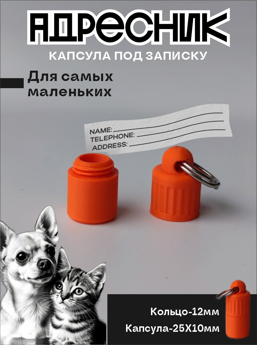 Адресник капсула на ошейник для котят и собак малых пород оранжевый, 25х10мм, PETG пластик, бумажный вкладыш, Обормот