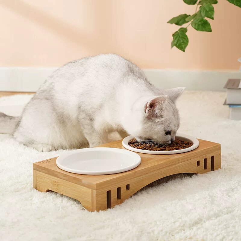 Средняя керамическая миска из бамбука с плоским основанием для двух кошек, набор, идеальная для двух животных, легко