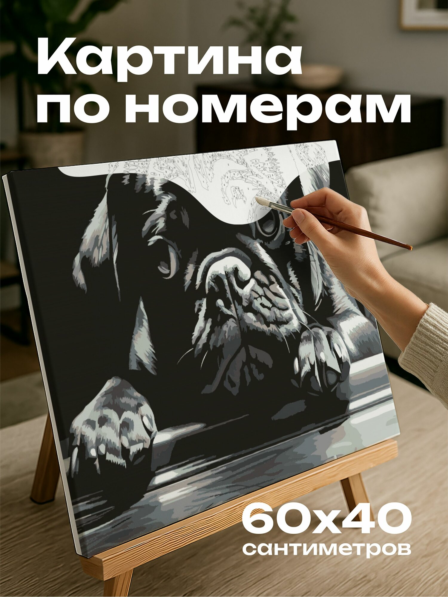 Картина по номерам 60x40 см, черно-белый рисунок, уголь, мопс, тень, контраст, свет, тьма