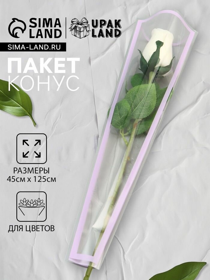 Пакет конус для цветов, Кайма , 12.5 4 45 1 см, сиреневый