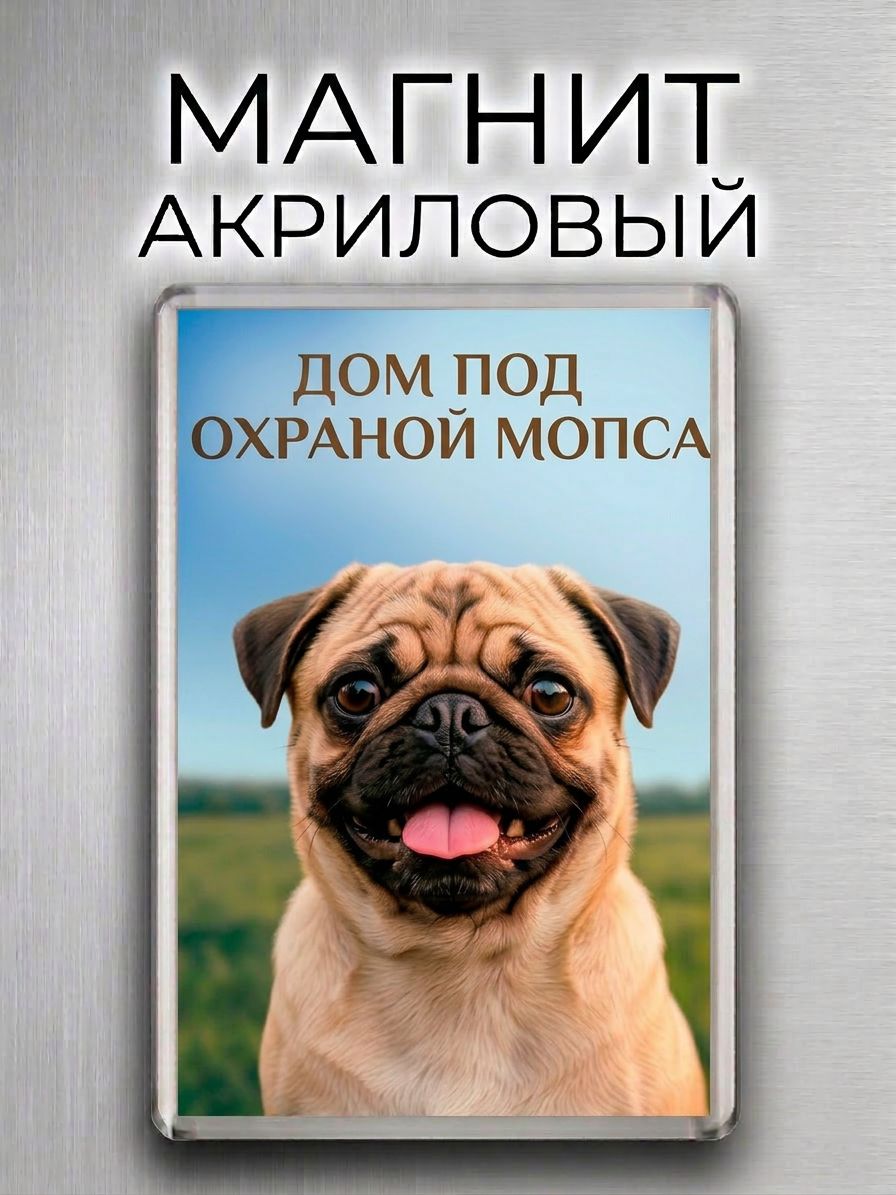 Магнит на холодильник "Дом под охраной мопса" / Сувенир с собакой, прикольная табличка любителю мопсов