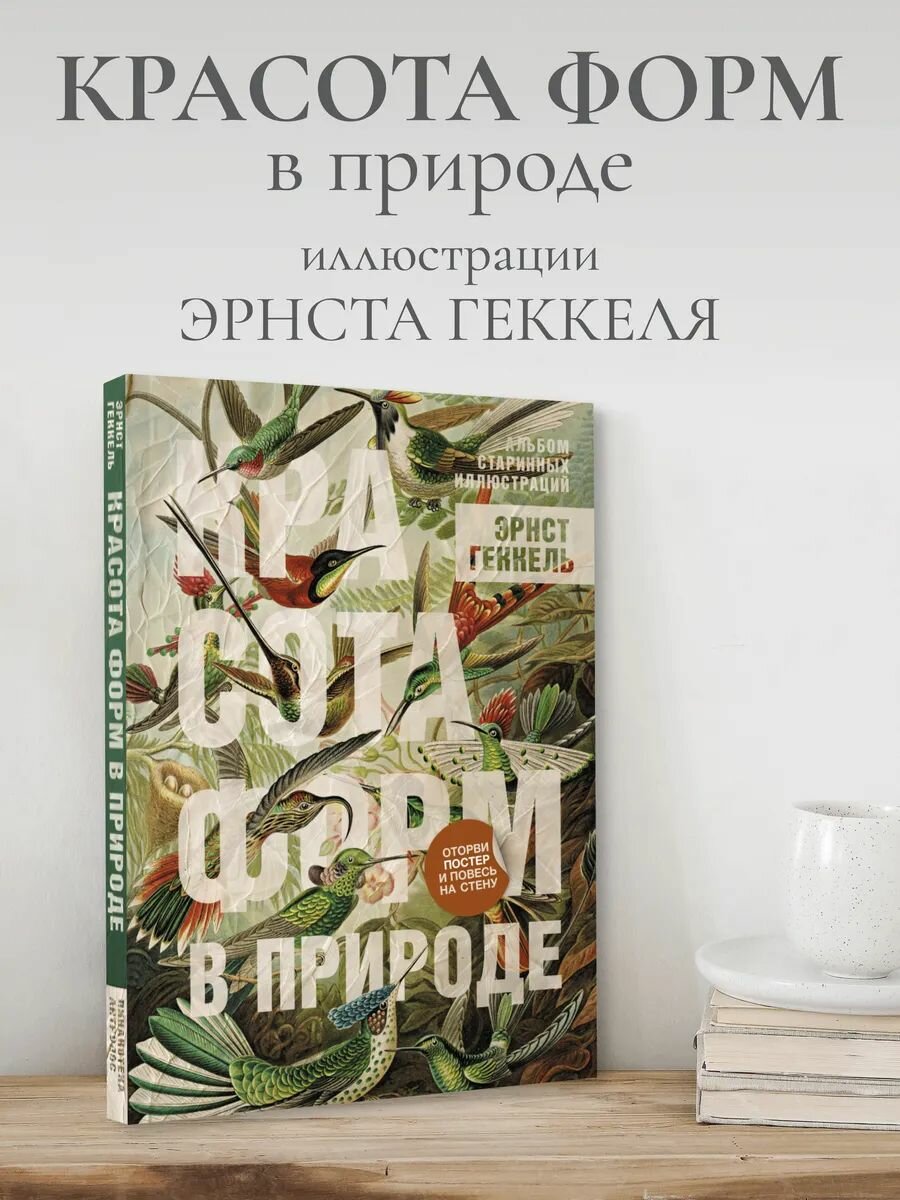 Красота форм в природе. Альбом старинных иллюстраций