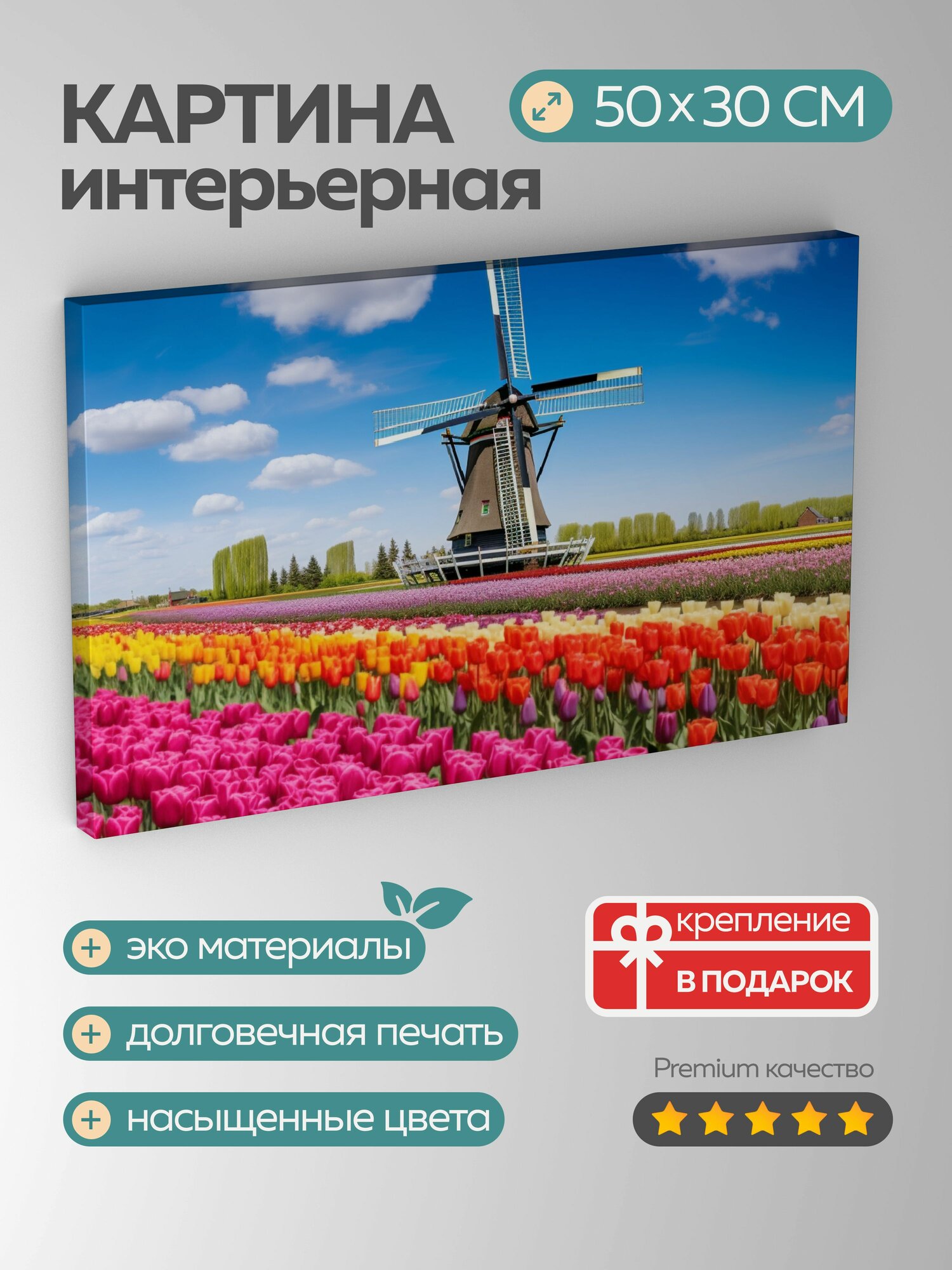 Картина на холсте интерьерная 50х30 см, фотография, голландская ветряная мель, тюльпанные поля, цвета цветов