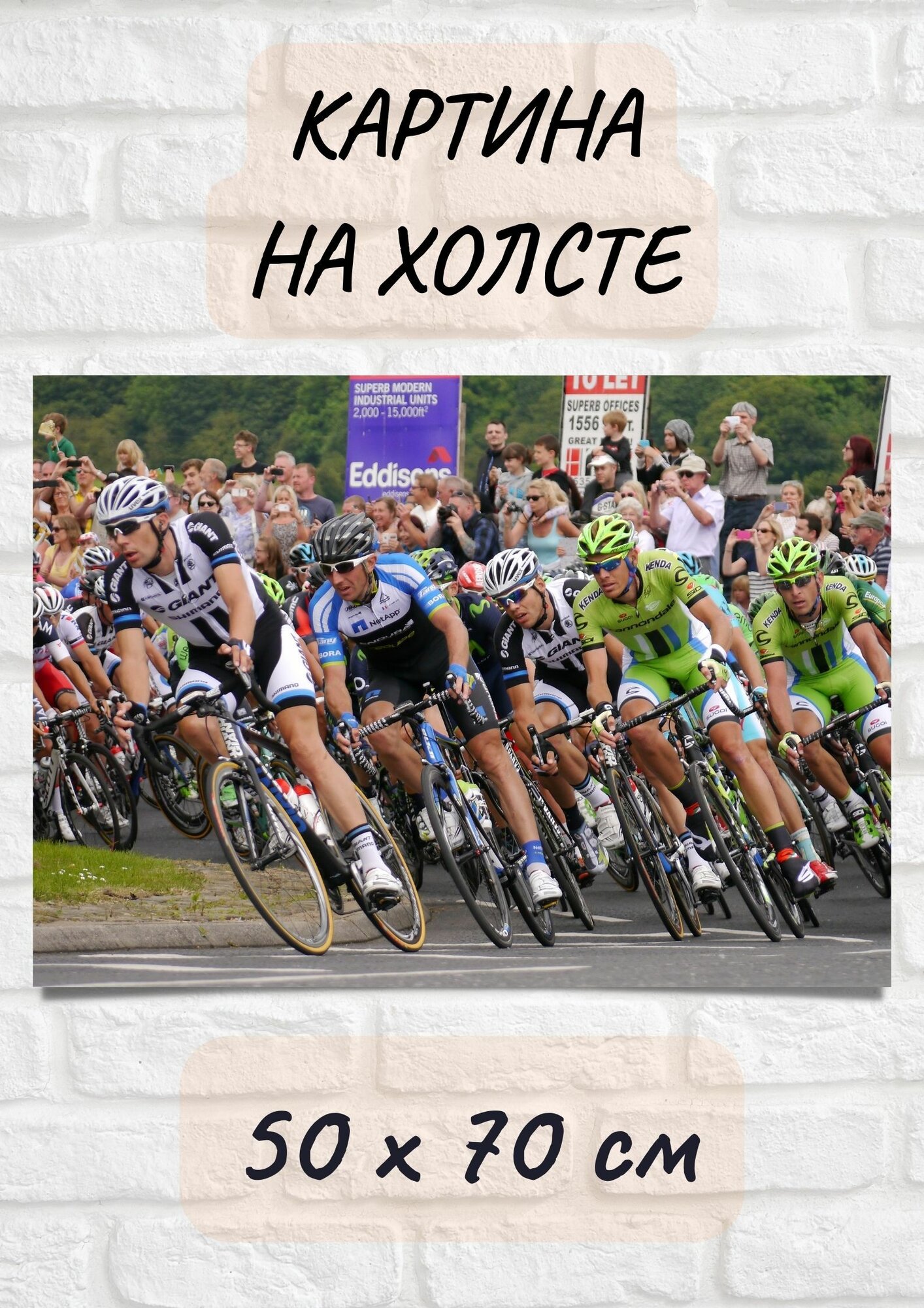 Картина с Велосипедом для интерьера: MTB, шоссейный, гревел, городской