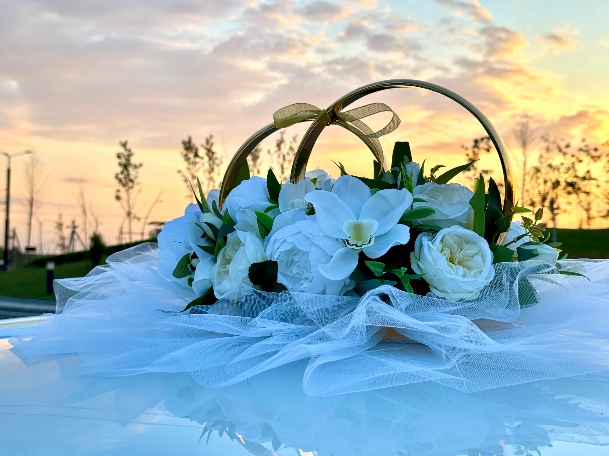 Белые свадебные кольца на крышу автомобиля