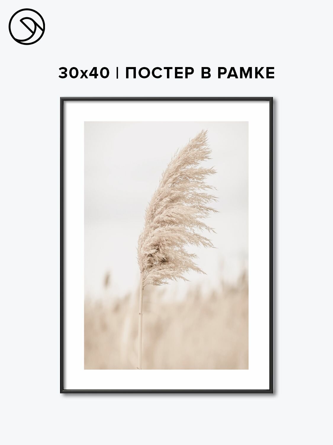 Постер 30х40 в рамке Postermarkt Сухоцвет