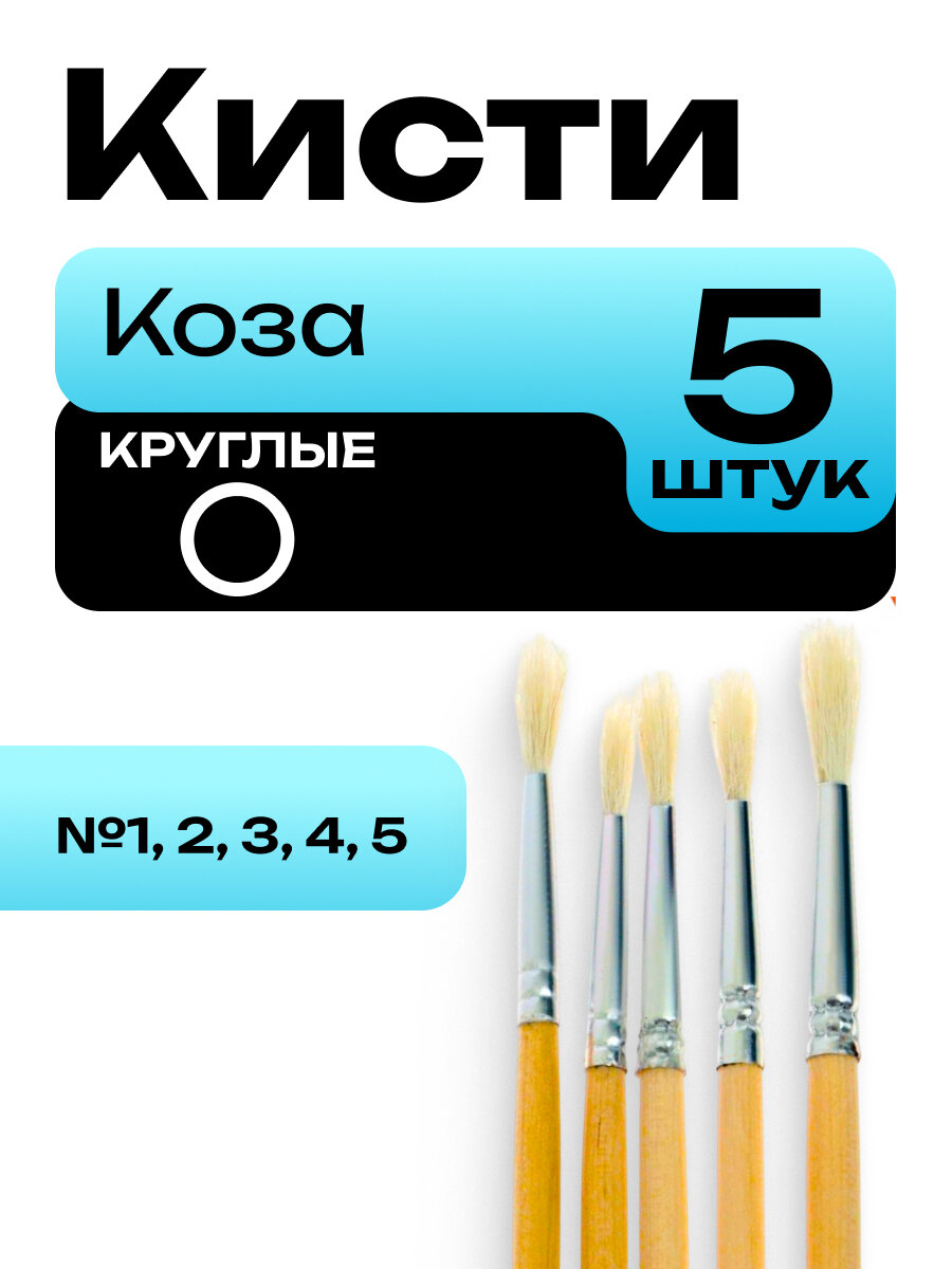 Набор кистей коза, 5 штук (№1, 2, 3, 4, 5), круглые, с деревянными ручками, в блистере