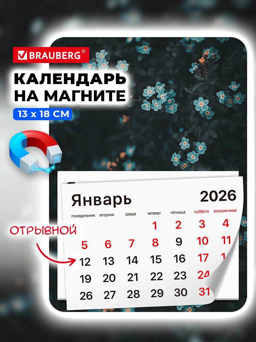 Календарь на холодильник 2026 год отрывной на магните, 130x180 мм, склейка, Brauberg Цветы, 117293