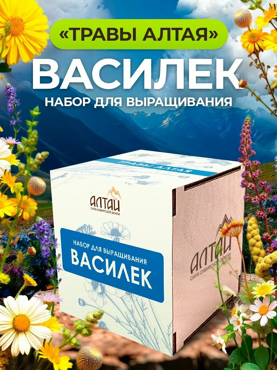 Набор для выращивания растений Сад на окне "Василек", в деревянном горшочке