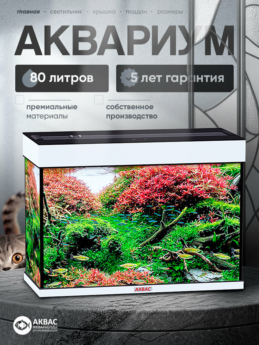 Аквариум 80 литров с крышкой и освещением, (67*29*50 см) Аквас