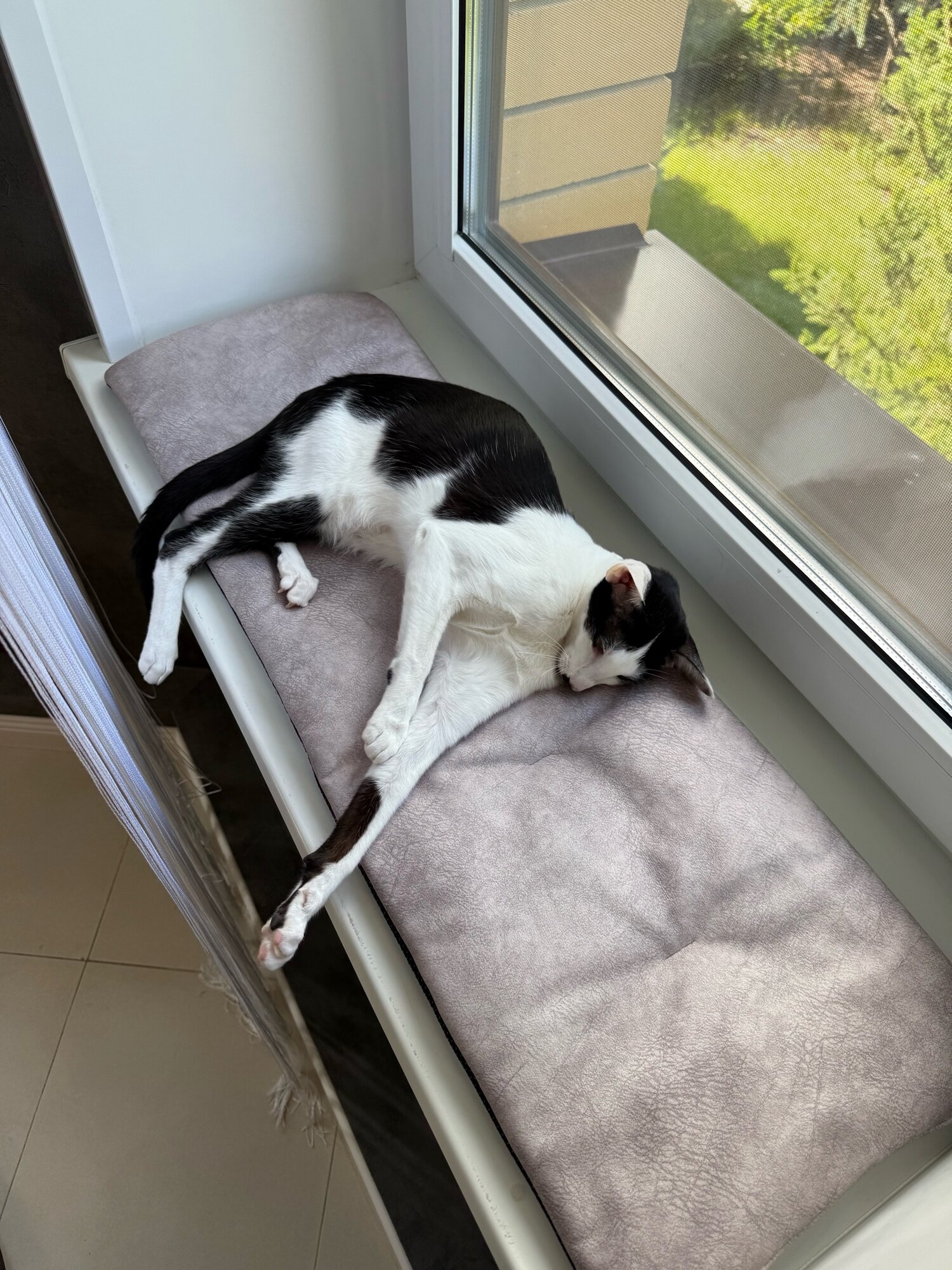 Лежанка 30*90 для кошек и собак на подоконник, на пол, в переноску и т. д. Антискользящая.