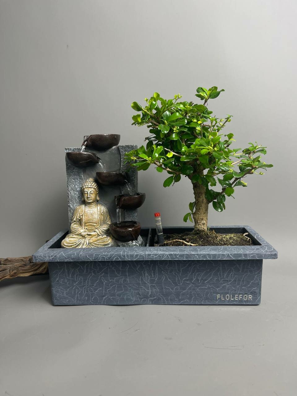 Кармона - цветущее дерево в стиле бонсай в кашпо с автополивом и живым водопадом, высота 27 см