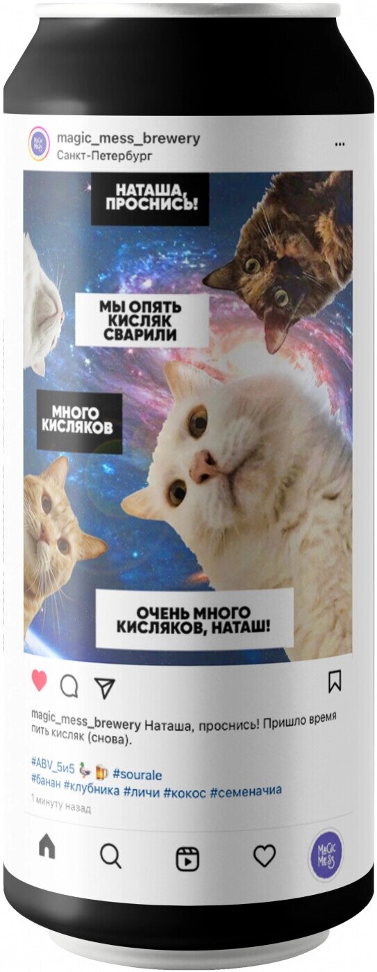 Пиво Magic Mess, "Wake Up, Natasha!", in can, 0.45 л