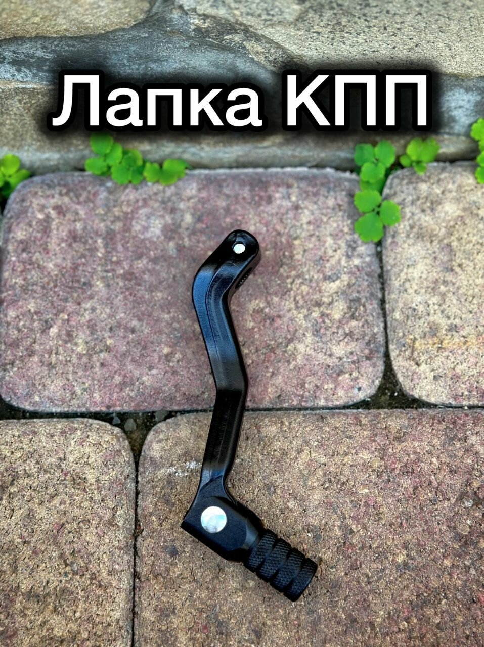 Лапка КПП