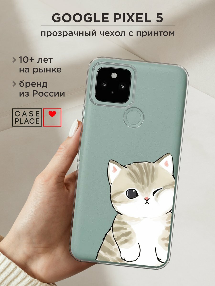 Чехол на Google Pixel 5 / Гугл Пиксель 5 с принтом "Пухлый котик", прозрачный