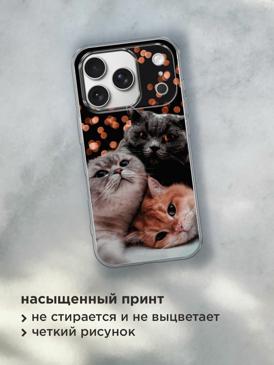 Чехол на Apple iPhone 17 Pro / Айфон 17 Про с принтом "Кошачьи обнимашки" — фото 1