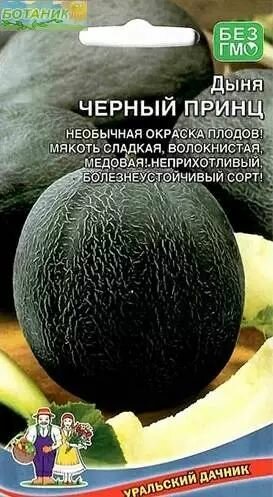 Семена Дыня Черный принц Уральский дачник