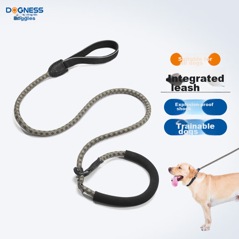 DOGNESS Dog Leash Collar P-Chain Walking Rope for Medium And Large Dogs, Corgi, Labrador, German Shepherd, Samoyed, Gray, Size L