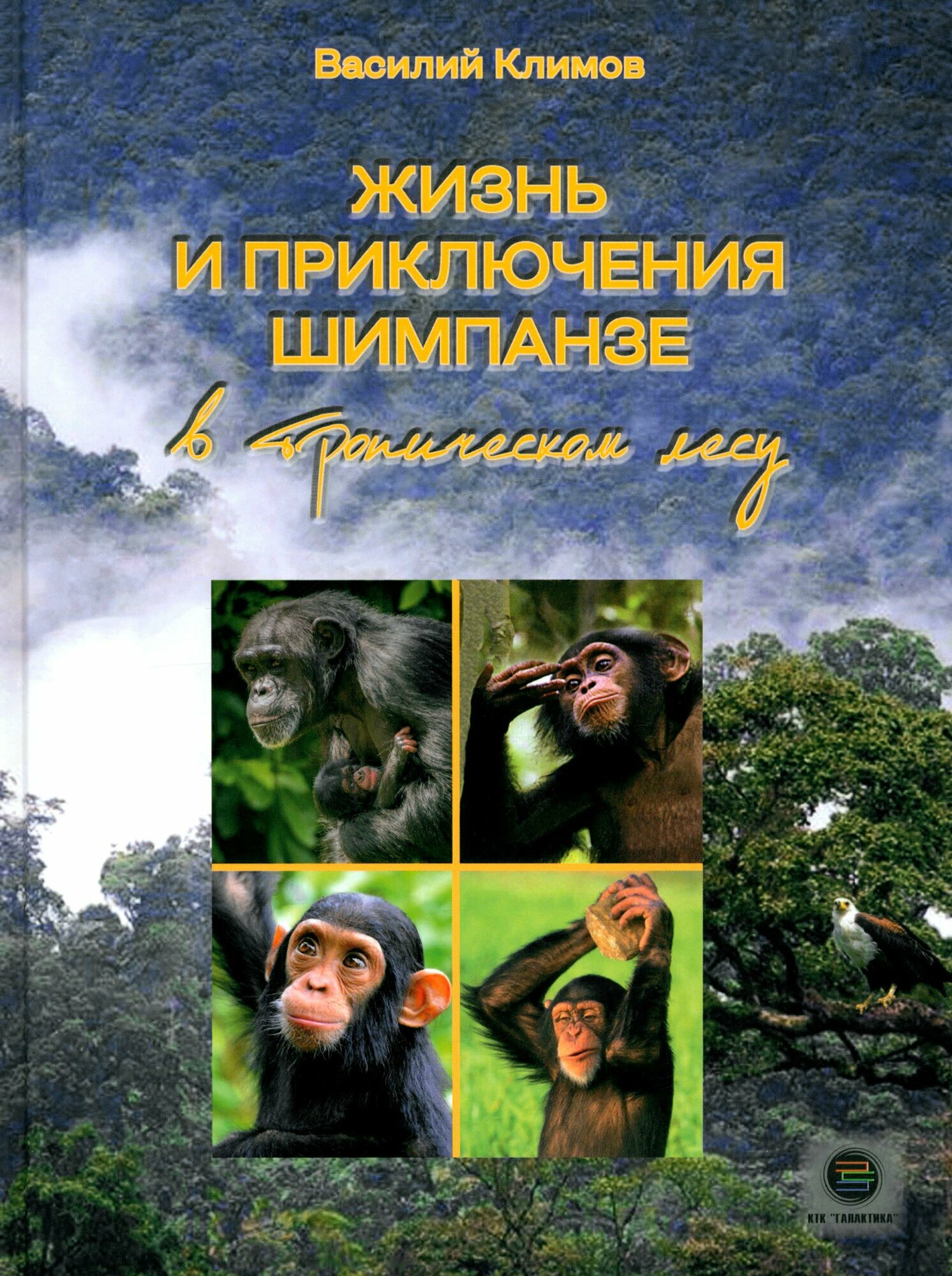 Жизнь и приключения шимпанзе в тропическом лесу