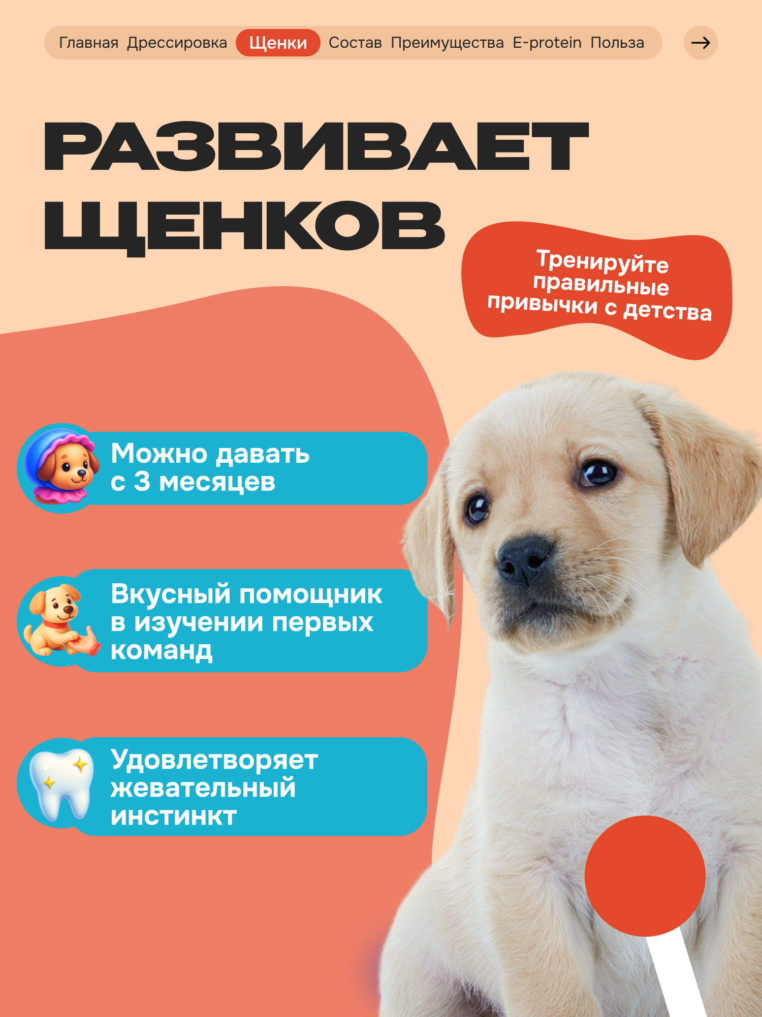 Лакомство для собак и щенков Cosmodog от Cosmopet "Филе утки" 250 г гипоаллергенное для зубов и дрессировки — фото 1