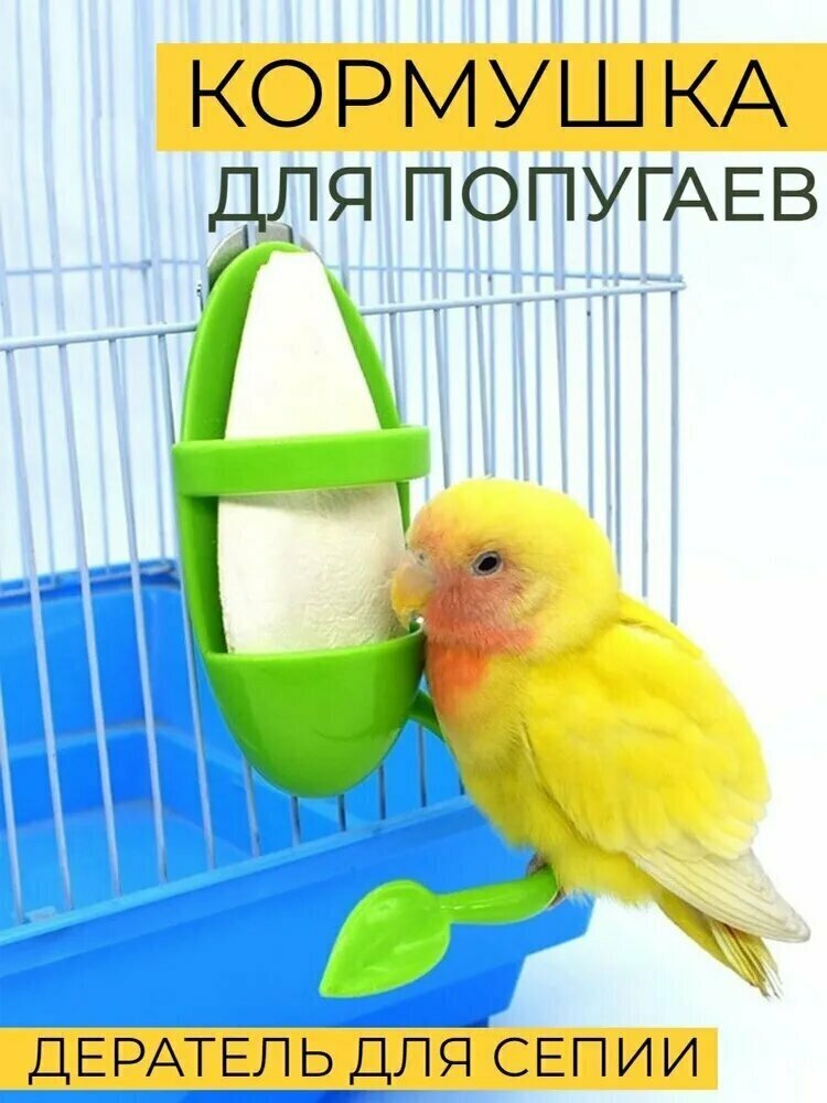 Кормушка для попугаев подвесная с жердочкой, Держатель для сепии в клетку, 1 шт