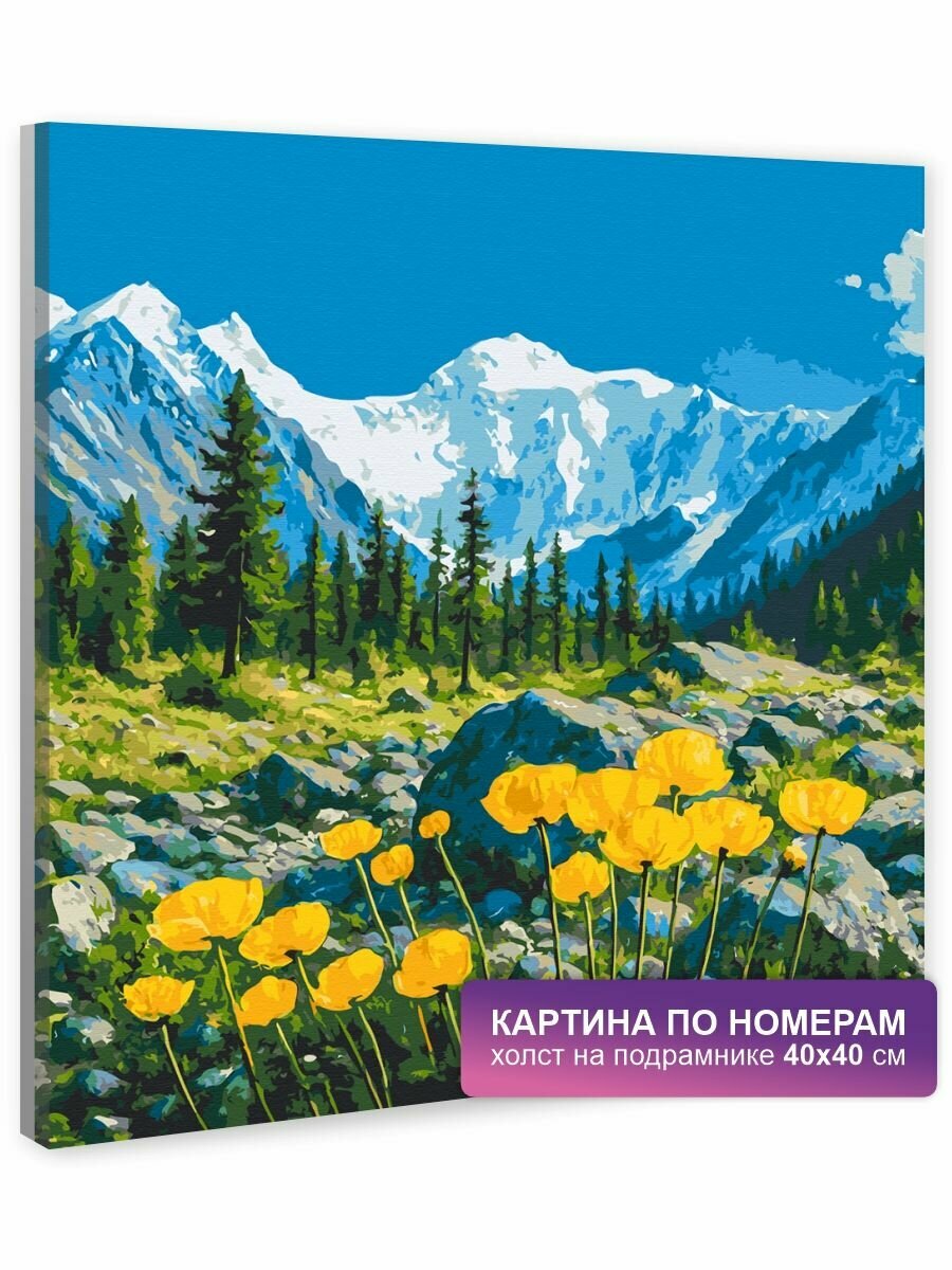 Картина по номерам на холсте с подрамником 40х40 см. Природа, горы, море, волны, пейзажи, небо, путешествия. "Алтай. Гора Белуха", арт. 7090/