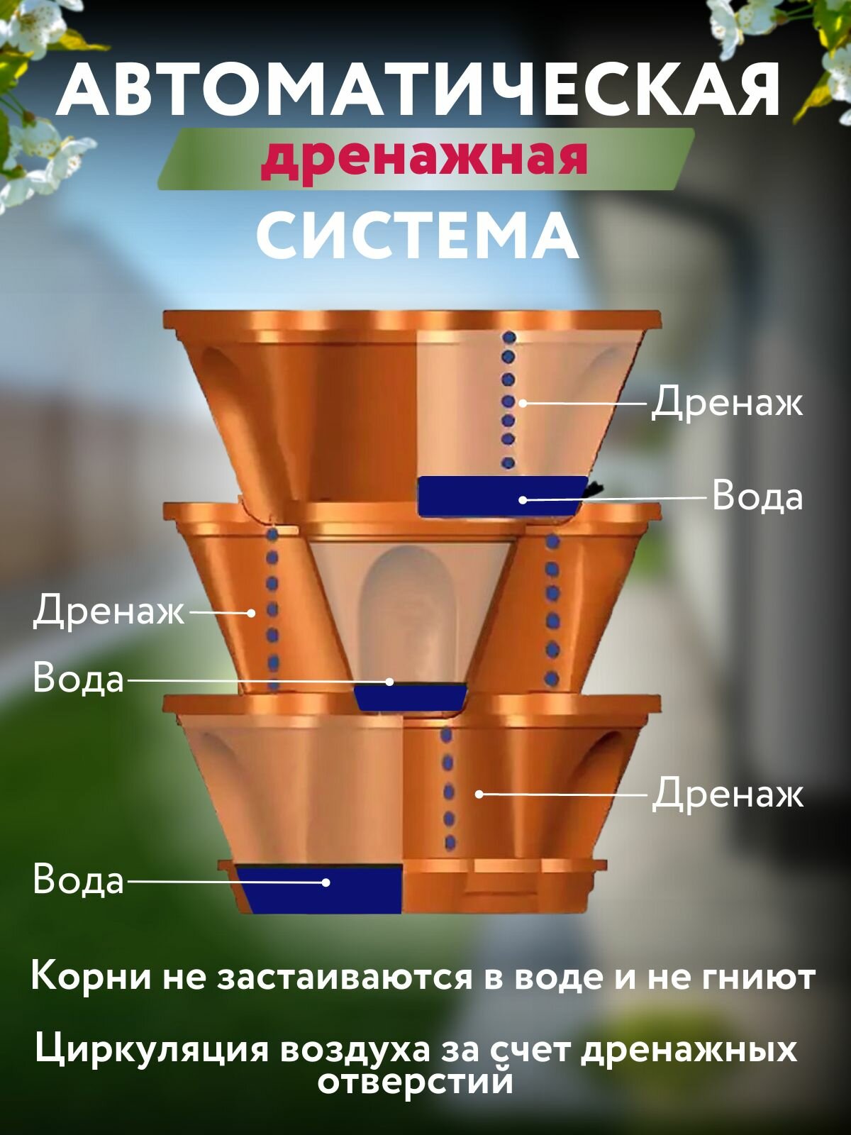 Грядка — фото 1