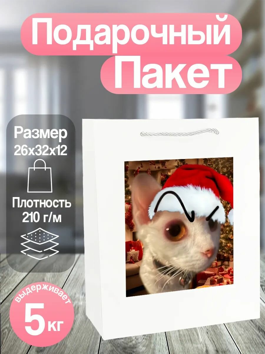 Пакет новогодний подарочный мем котики