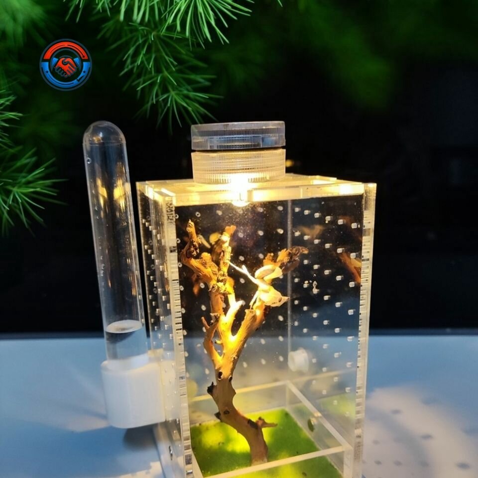 Прозрачный акриловый террариум для тарантулов, пауков, скорпионов и мелких рептилий, удобный вольер с нижним открытием, дом для насекомых и ящериц