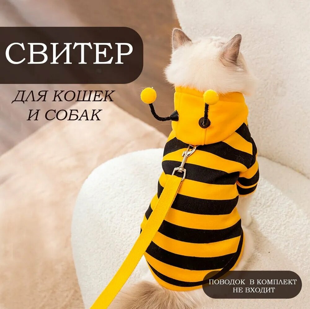 KNOW EASY-Свитер для кошек и собак мелких пород с кольцом, кофта с принтом, костюм на флисе, р. S