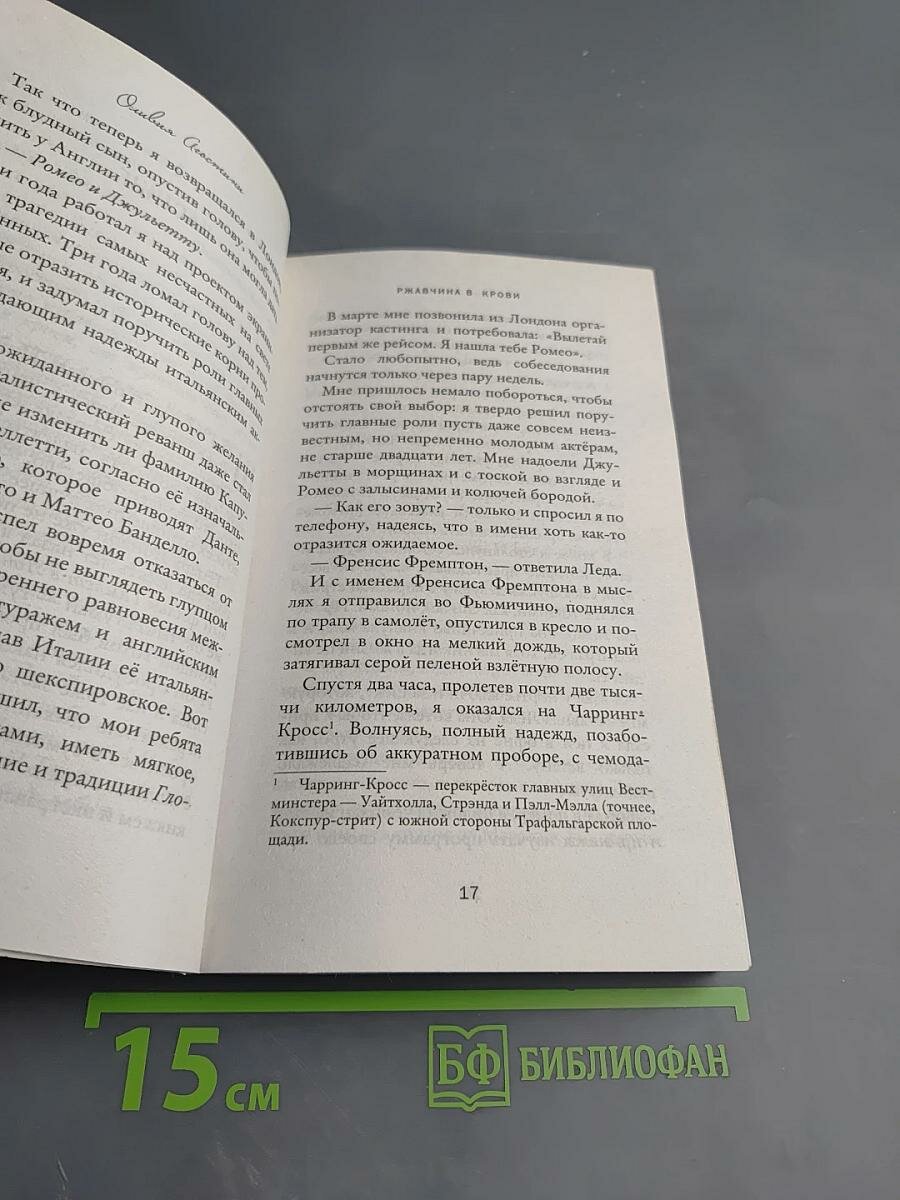 Ржавчина в крови — фото 1