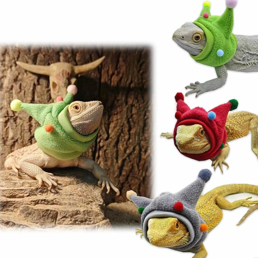 Одежда для животных