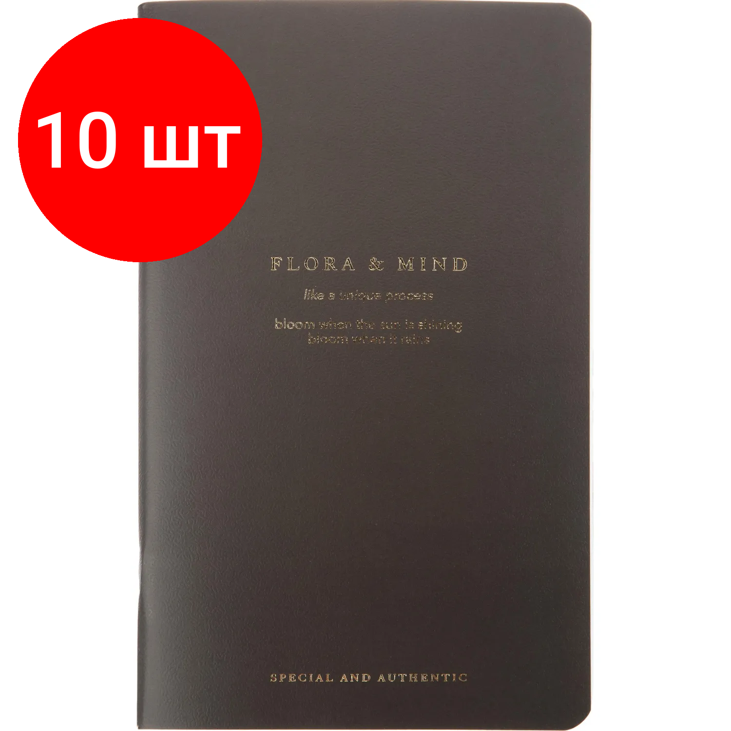 Комплект 10 штук, Блокнот BS, 130х210мм, 48л, линейка, скрепка. Flora, черный N4121