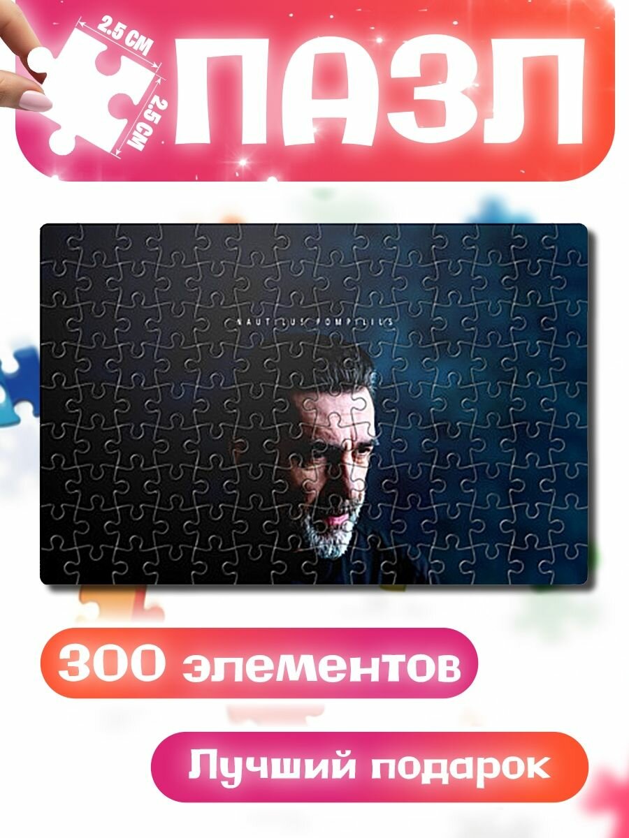 Пазлы для детей и взрослых Nautilus Pompilius Вячеслав Бутусов